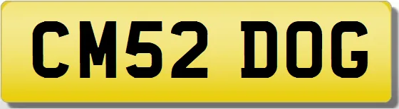 CM 52 DOG Current Number Plate For Sale | Buy Now | Plates VIP