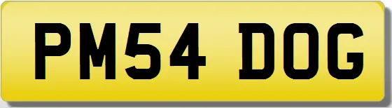 PM 54 DOG Current Number Plate For Sale | Buy Now | Plates VIP